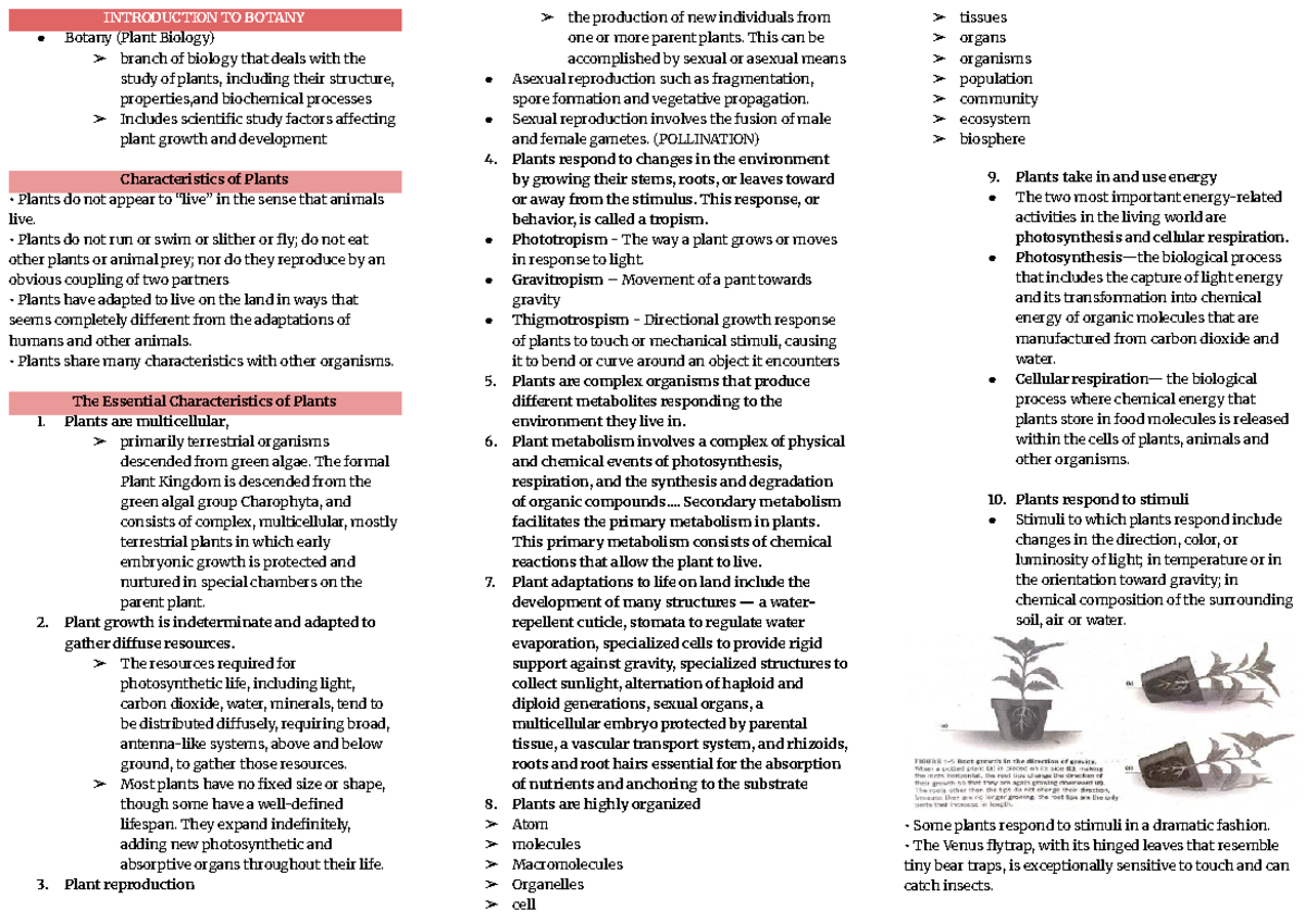Botany 101: Comprehensive Review of Plant Biology Concepts - Studocu