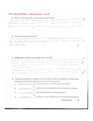 Lab#10 Natural Selection - J QUESTIONS Natural Selection Lab i In your own words explain what ...