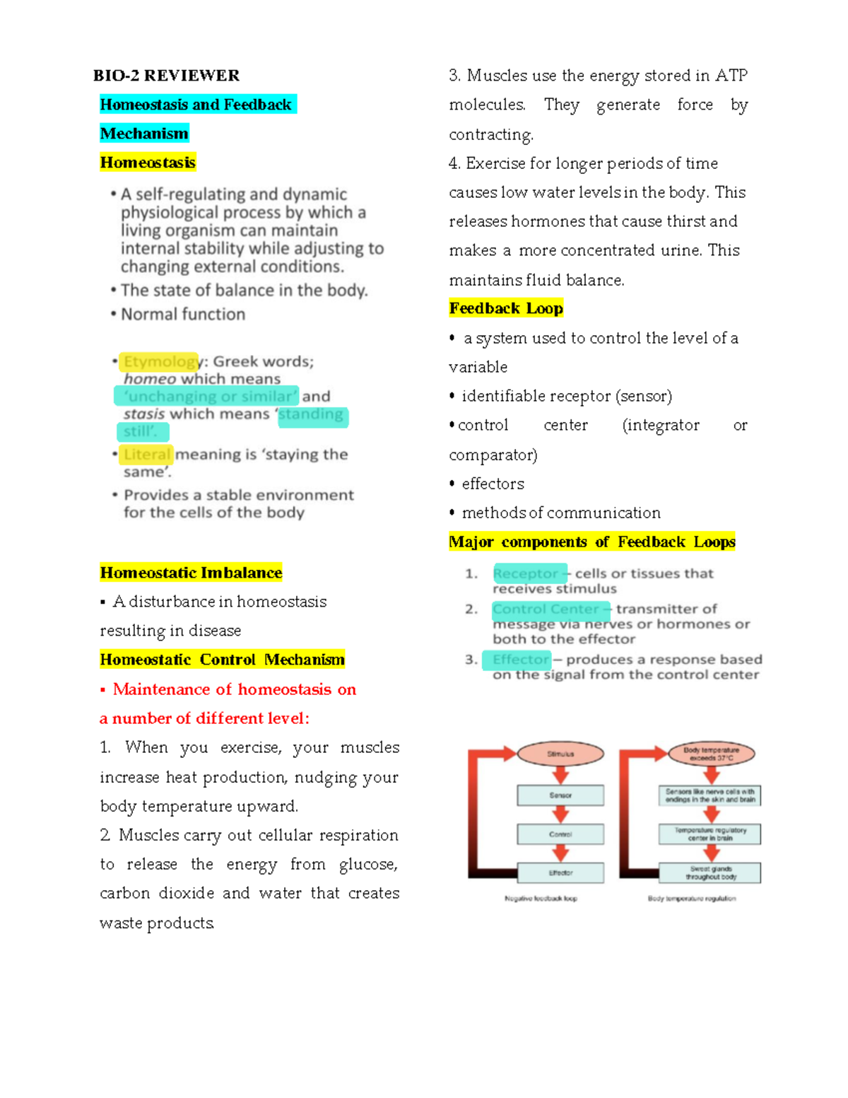 BIO-2: Homeostasis, Muscle Function, and Feedback Mechanisms Review ...