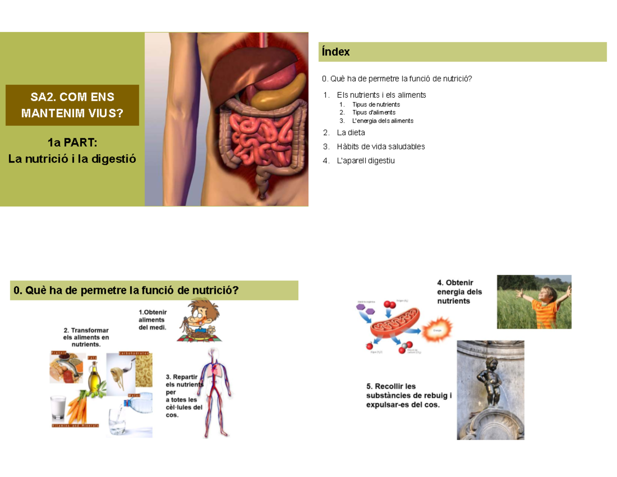 SA2. Funció de Nutrició i Digestió: Part 1 - Nutrients i Aliments - Studocu
