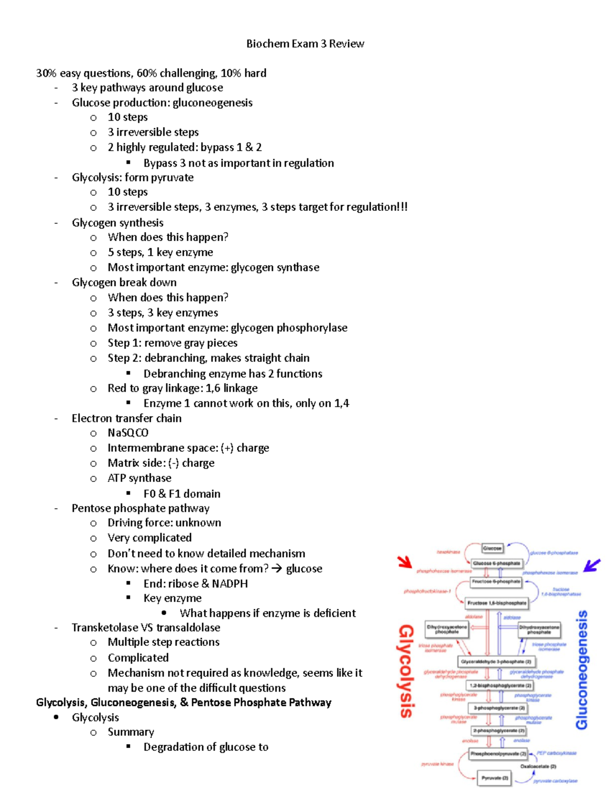 Biochem 2 Exam 3 Comprehensive Review Guide - Studocu