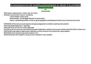 Algemene-grootboek-rekeninge - Algemene Grootboek rekeninge dt Bates kt ...