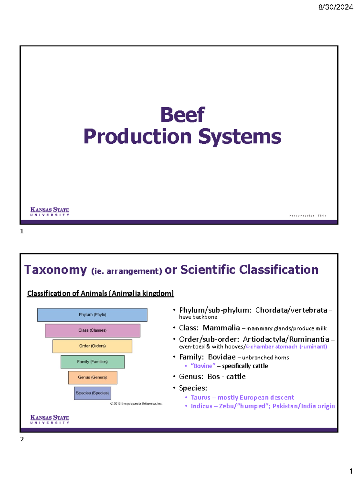 US Beef Production Systems Overview: Taxonomy and Industry Segments ...