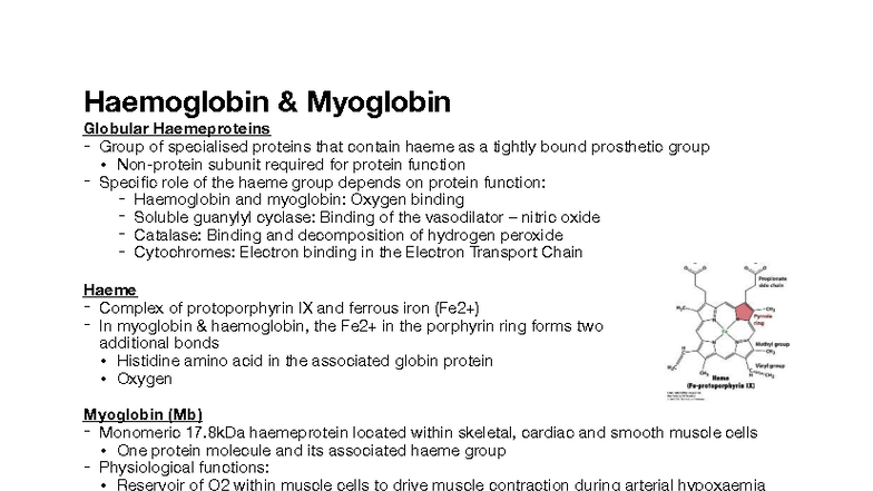 Haemoglobin and Myoglobin: Structure, Function, and Regulation (HEALY 2 ...