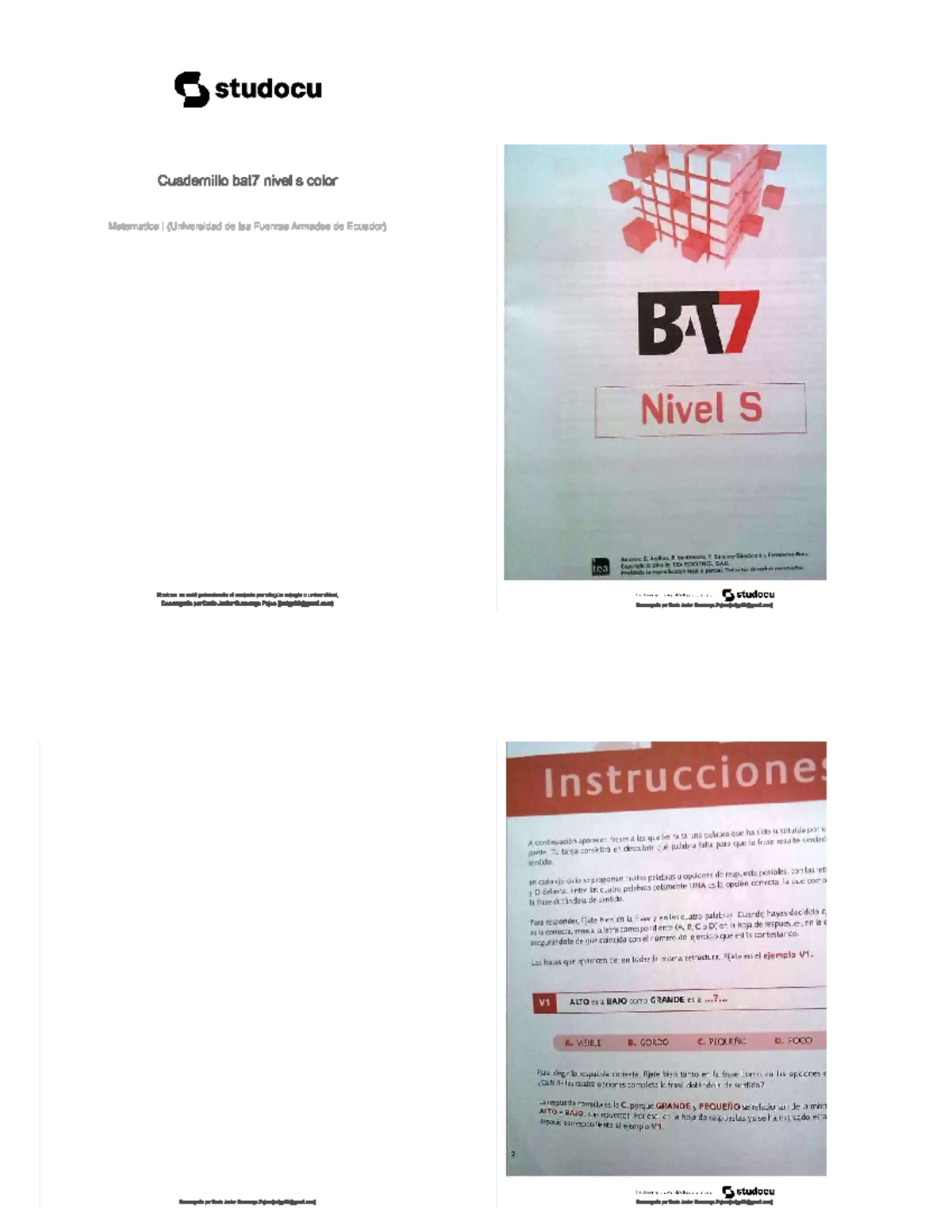 Cuadernillo BAT7 nivel S: Guía de Imprimible y Ejercicios - Studocu