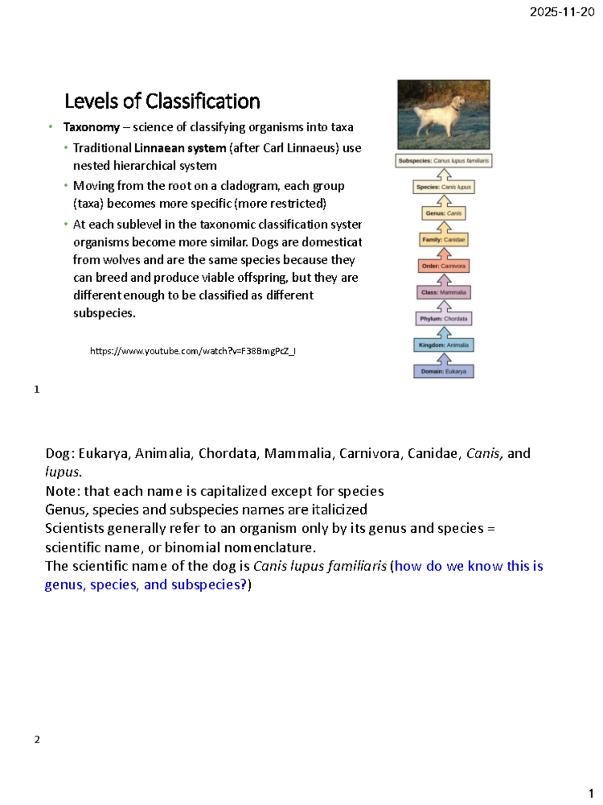 Taxonomy and Phylogenetic Trees: Lecture Notes - Studocu