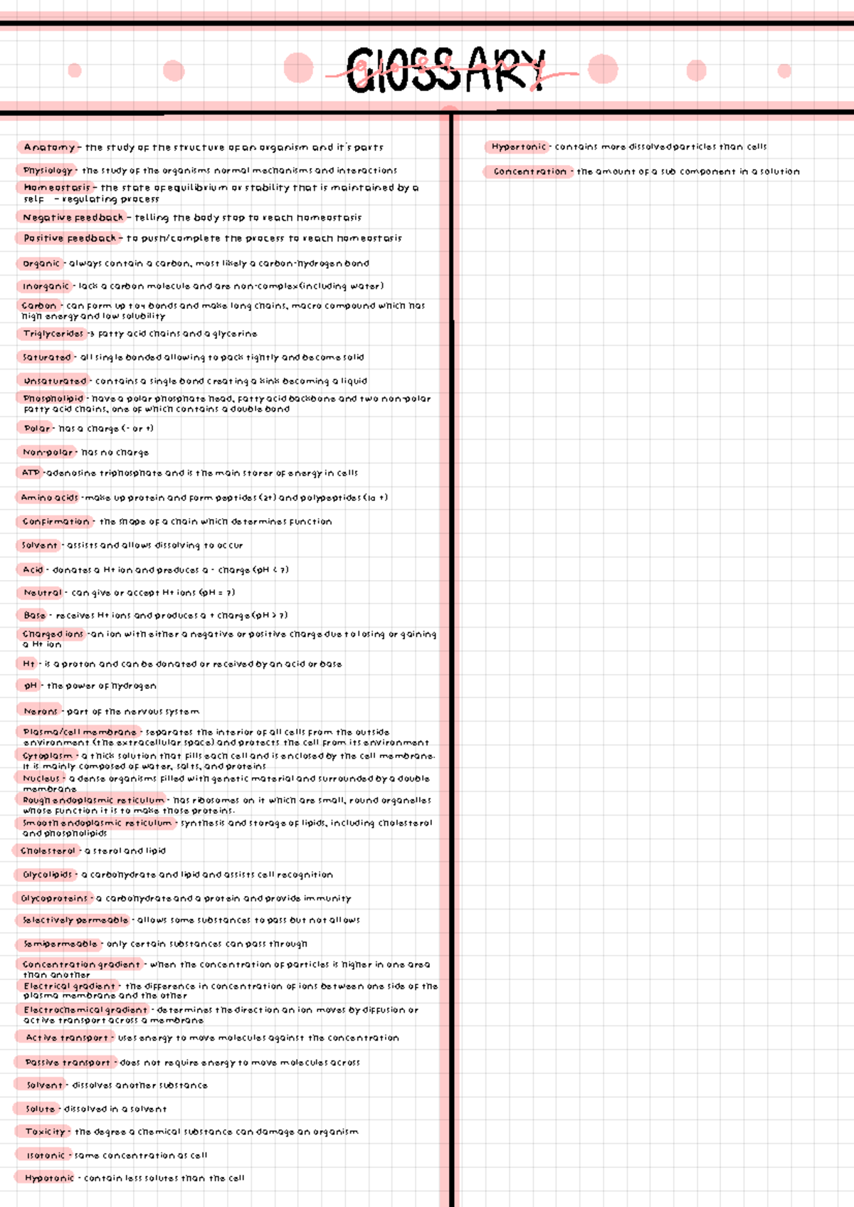 Anatomy And Physiology Glossary - Anatomy - the study of the structure ...