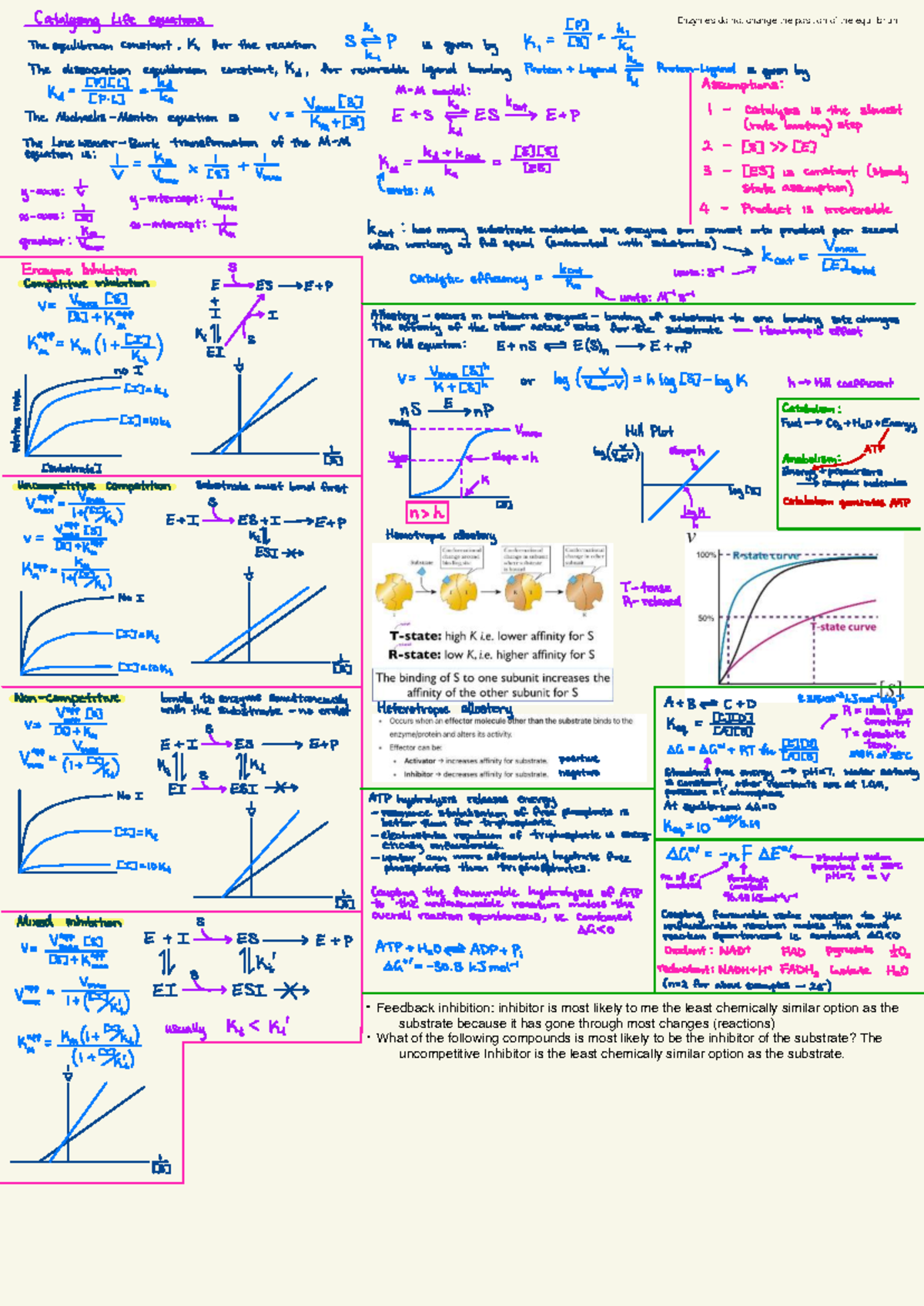 106 Test Cheat Sheet: Enzyme Kinetics and Equilibrium Concepts - Studocu