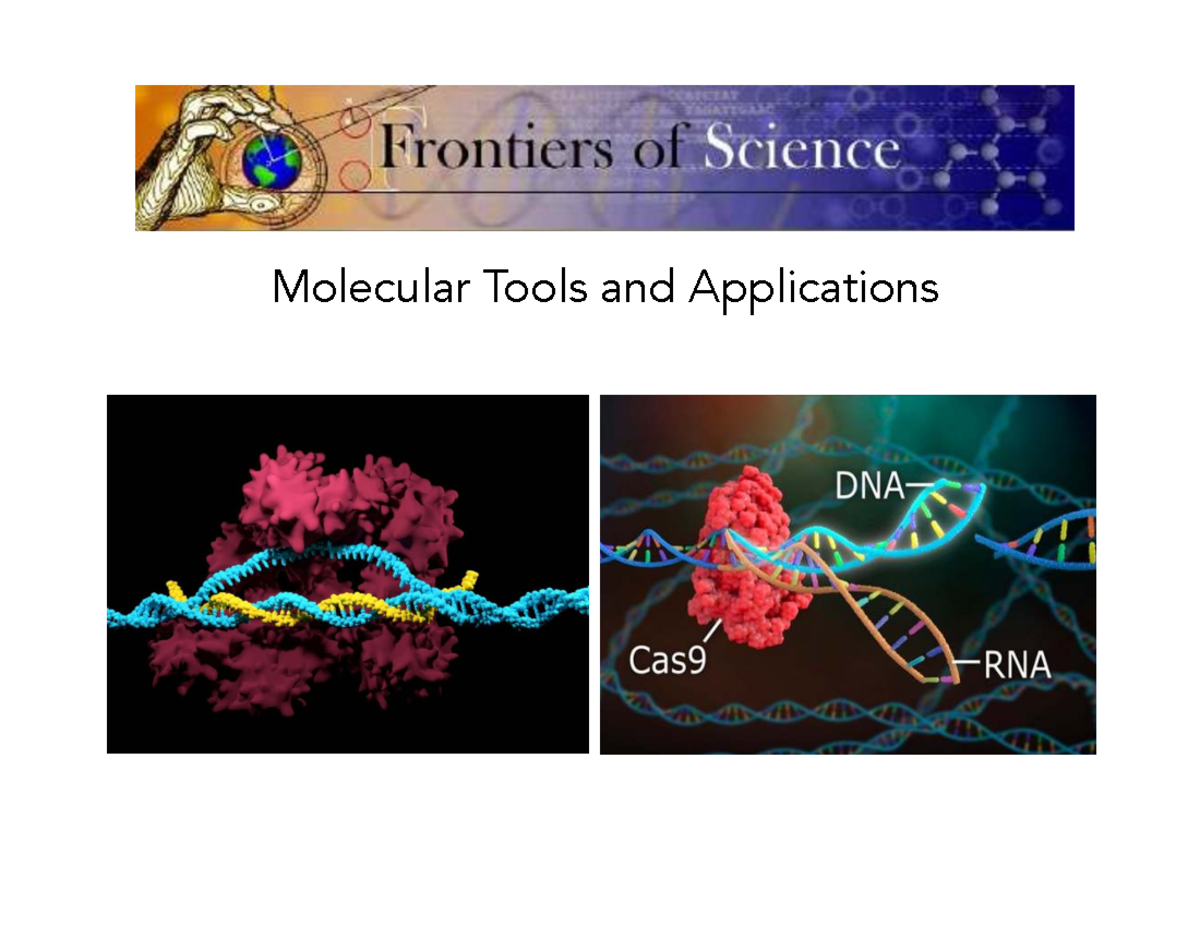 ML3 Seminar Slides: Molecular Tools & Applications - Spring 2025 - Studocu