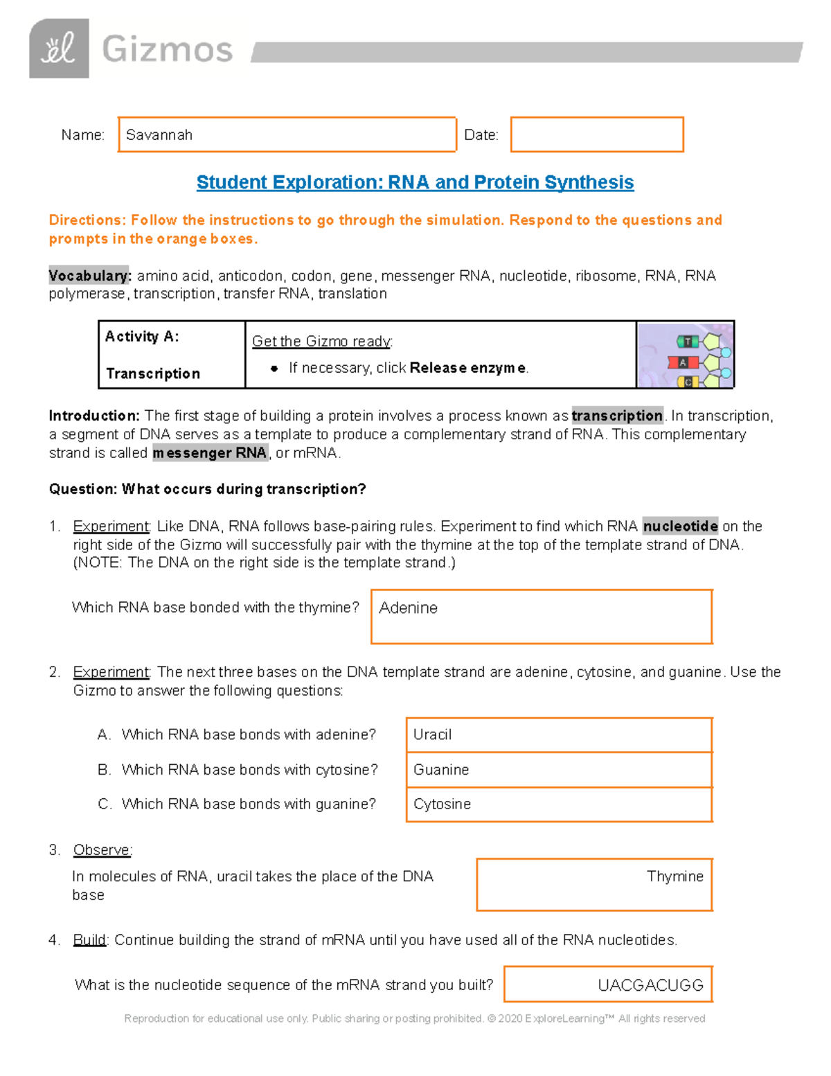 RNA and Protein Synthesis Practice - Name: Savannah Date: Student Exploration: RNA and Protein ...