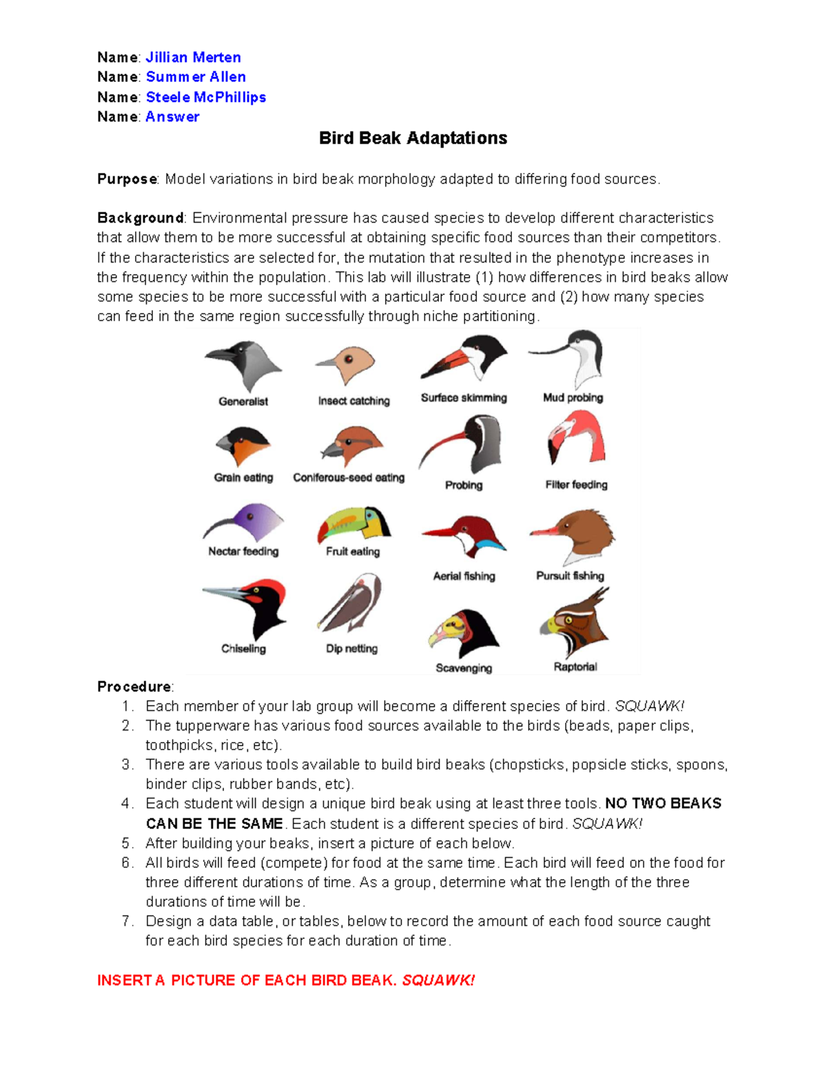 Lab Report: Bird Beak Adaptations - SQUAWK! - Studocu