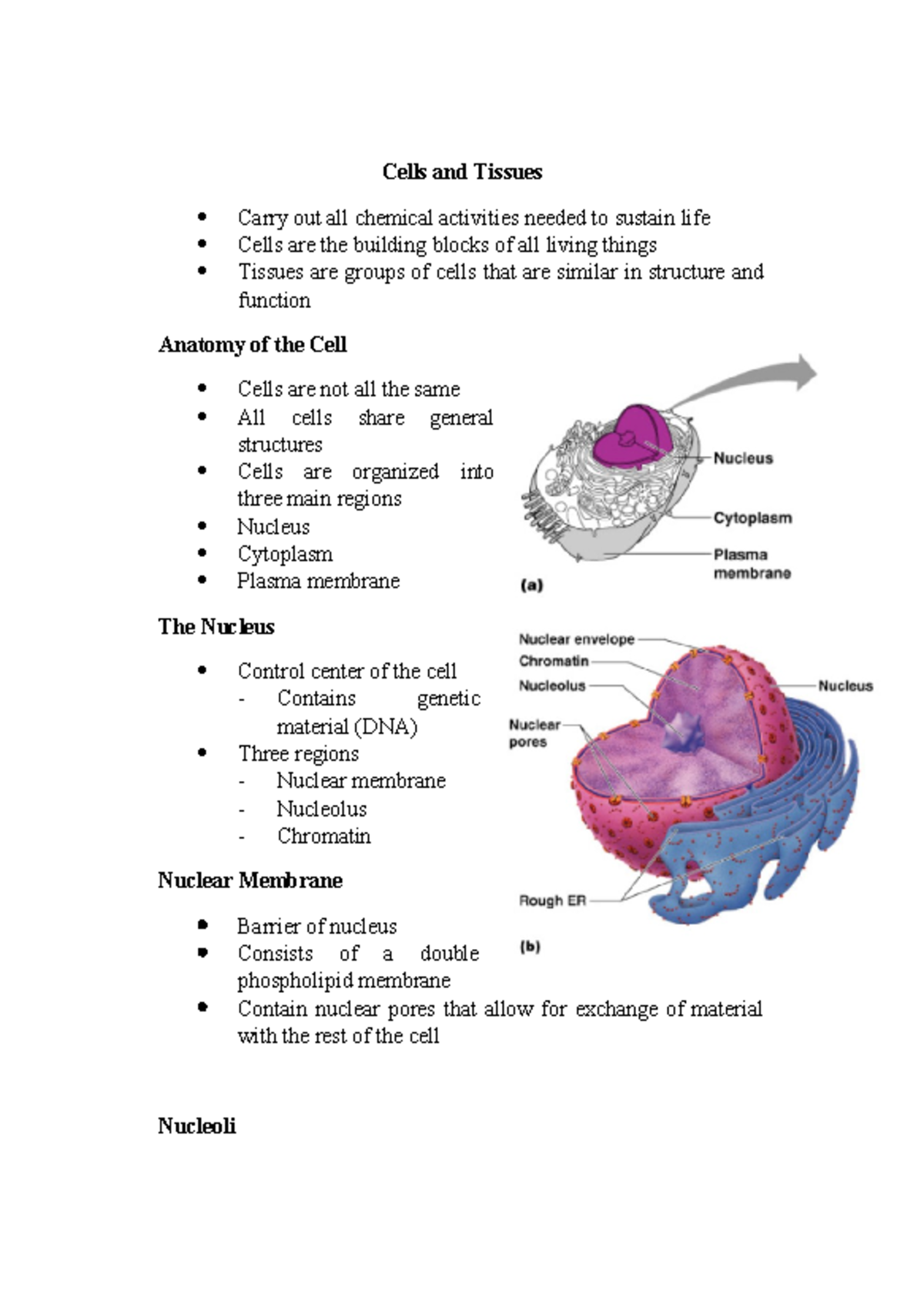 Cells and Tissues Overview - ANAPHY - Studocu