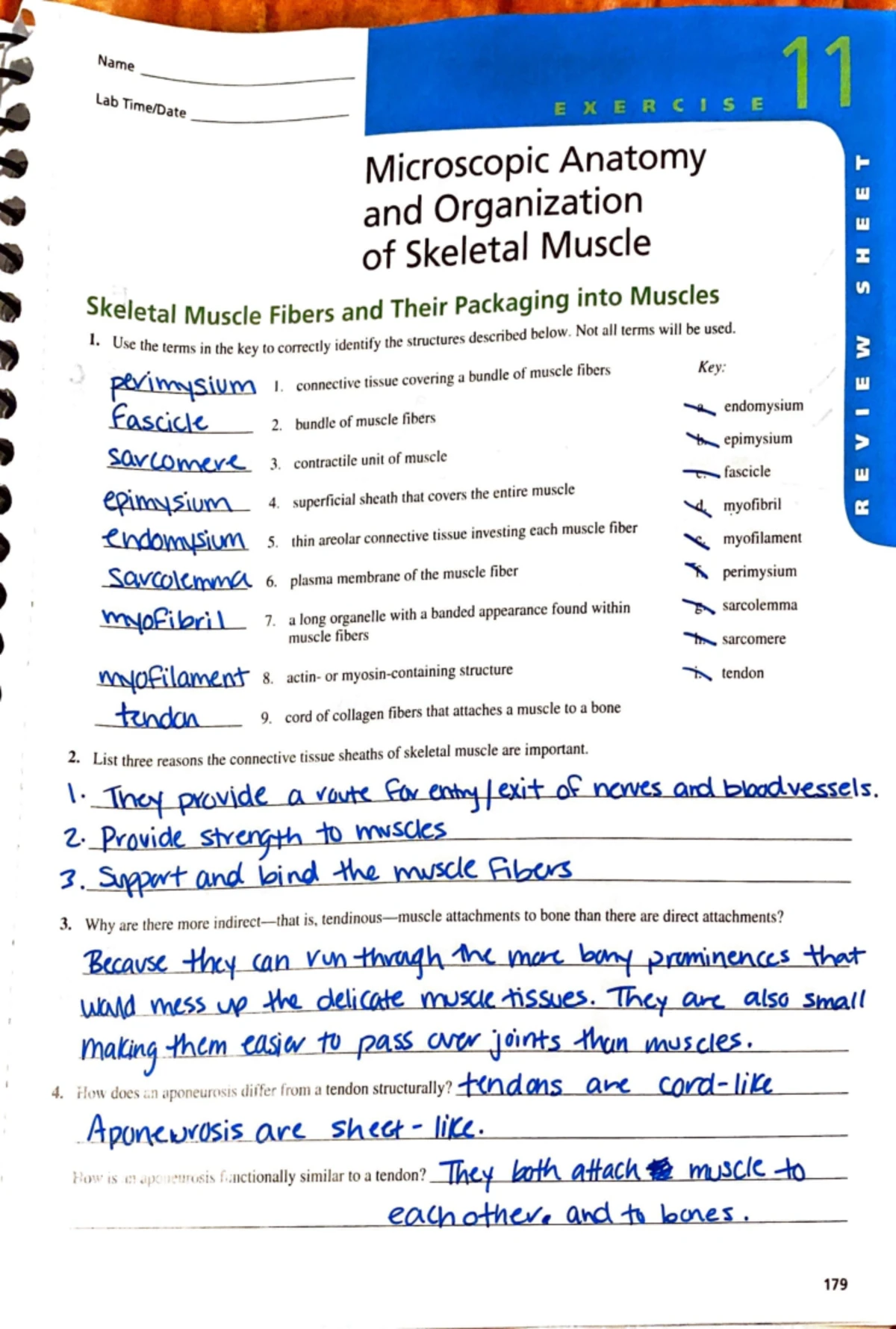 Lab Exercise 7 Review Sheet - 7 R E V I E W S H E E T E X E R C I S E NAME - Studocu