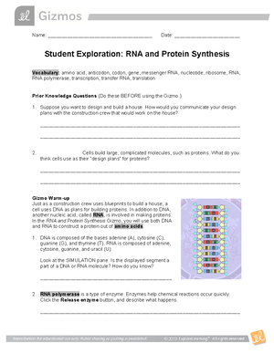 Lactase Enzyme Introductory Bio II Lab - Lactase Enzyme Activity with ...