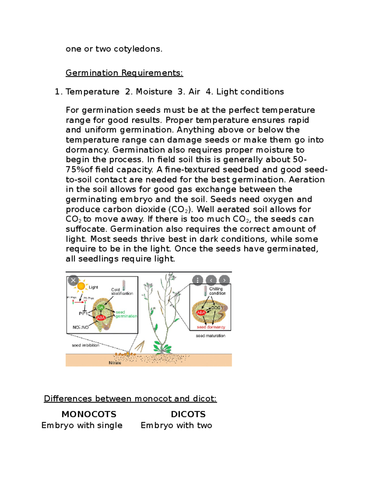 Seeds 2 - Condensed Notes on Germination & Cotyledon Differences - Studocu