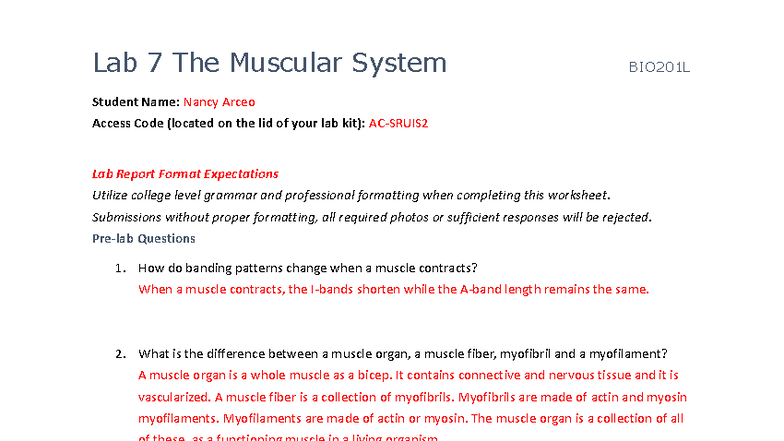 BIO201L Lab 7: The Muscular System - Comprehensive Report - Studocu