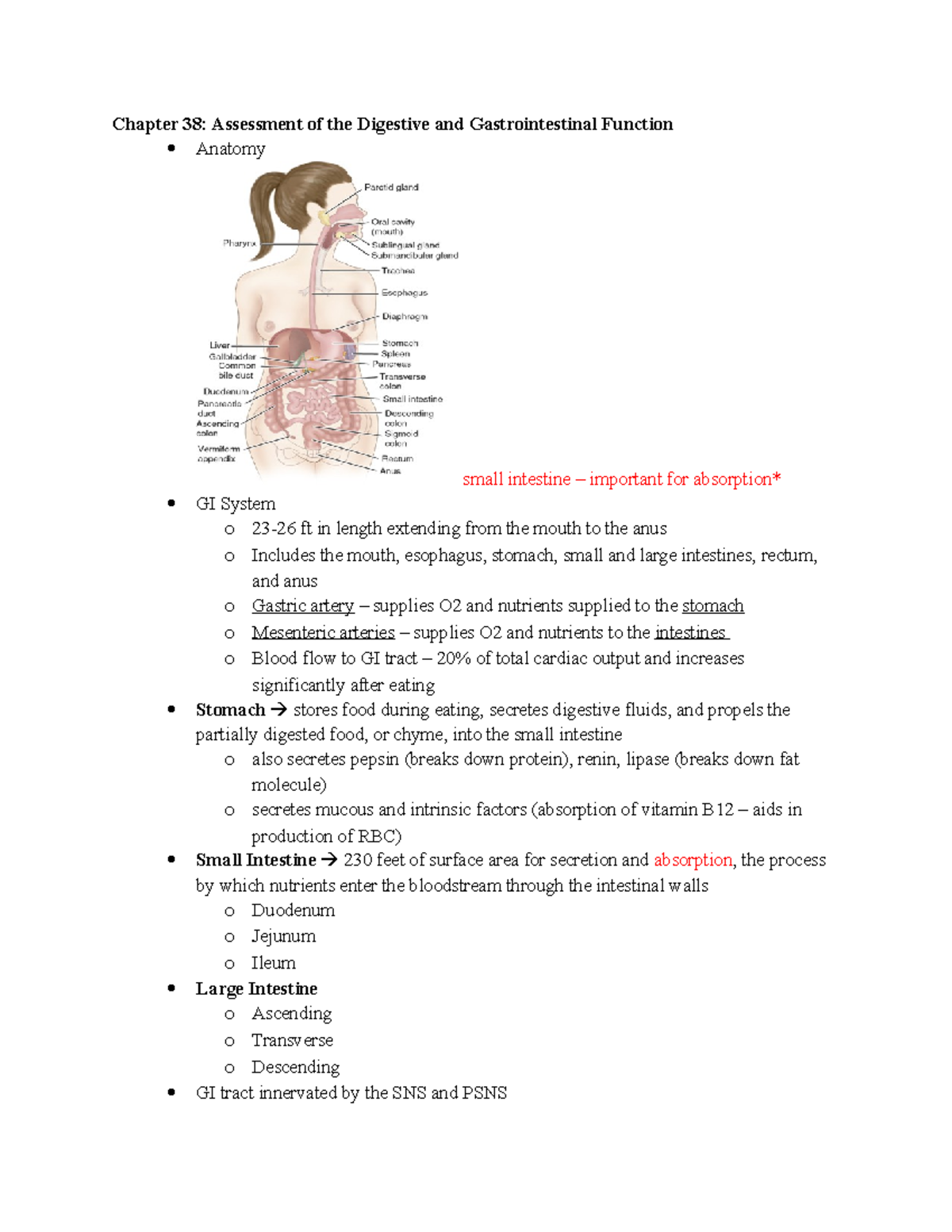 Chapter 38 - Digestive and Gastrointestinal Function Lecture Notes ...