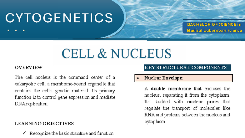 CYTO 101: Overview of Cell Nucleus Structure and Function - Studocu