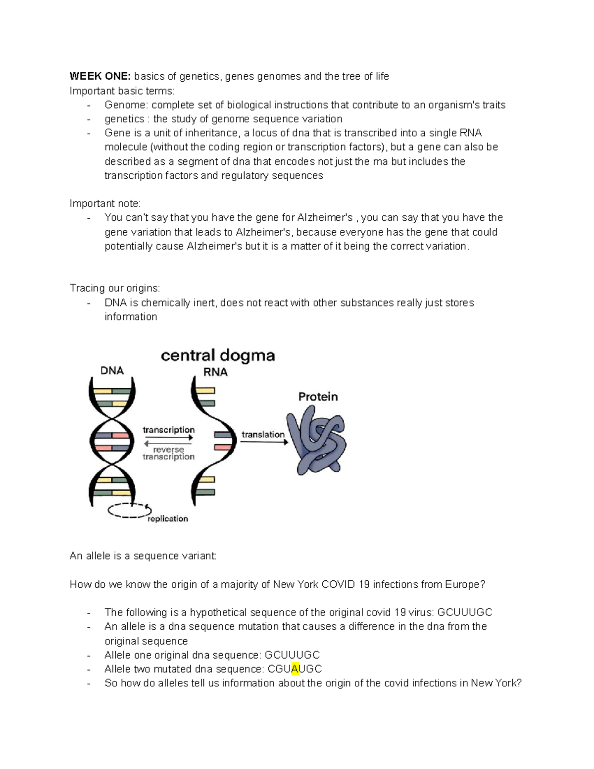 Genetics Lecture Notes until the midterm - WEEK ONE: basics of genetics ...