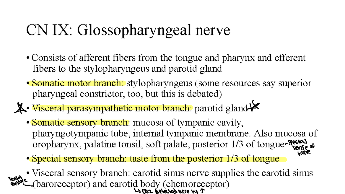 Dissect-a-Question: Evaluating CN IX and Gustatory Loss in Patients ...