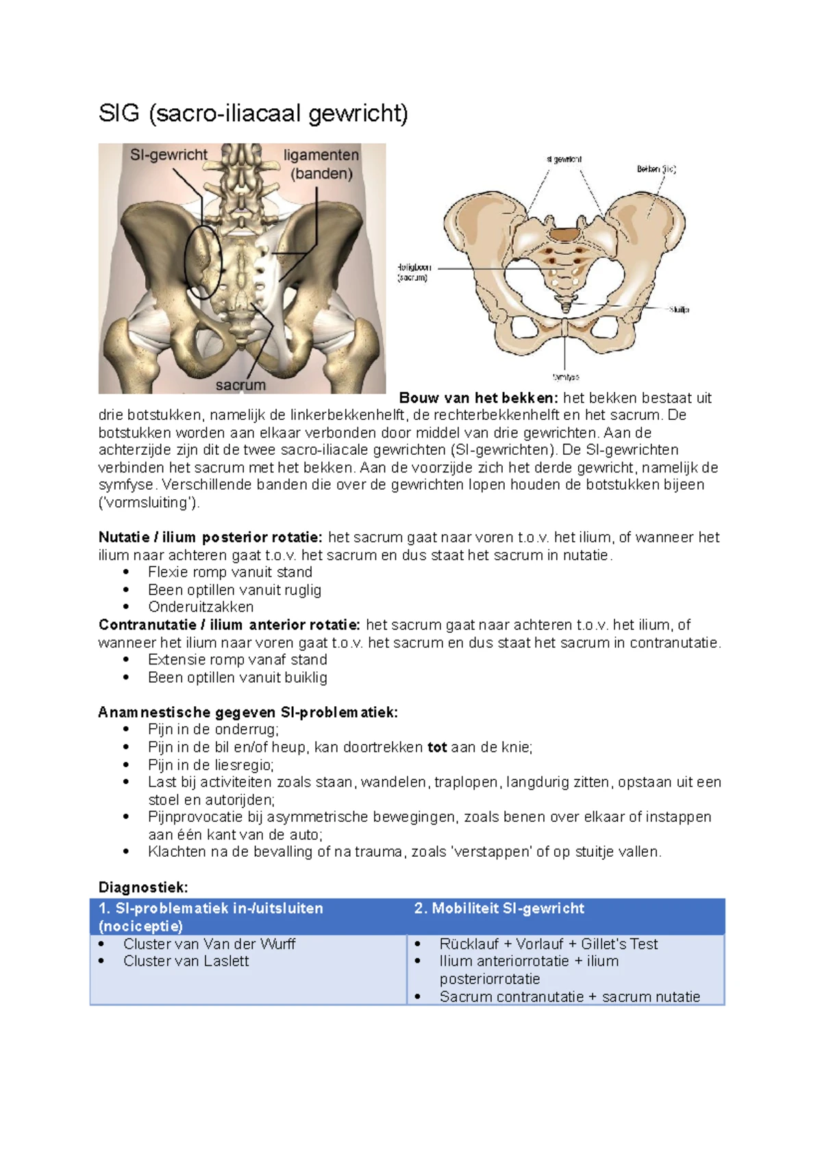 Cervicale wervelkolom samenvatting - Functionele anatomie Hoog ...