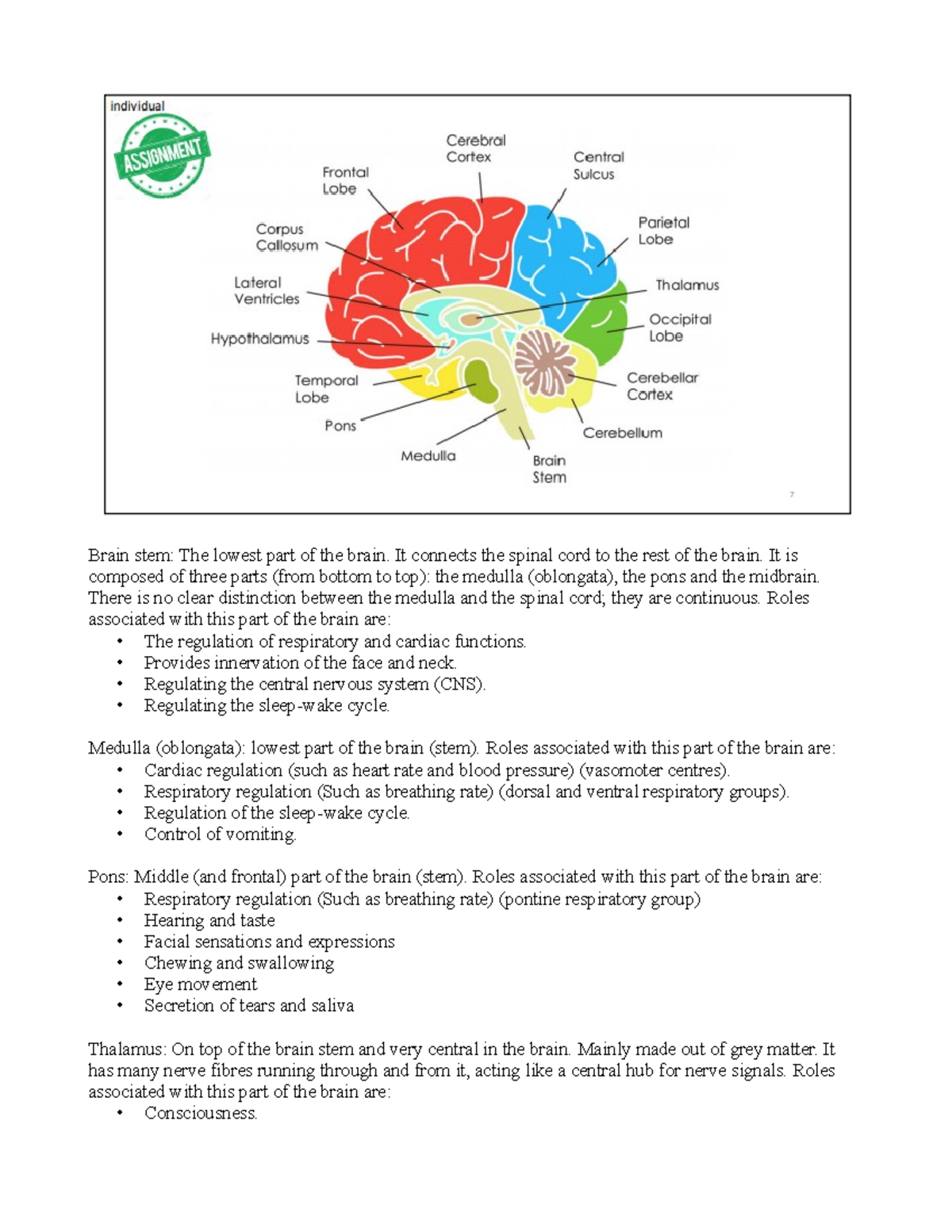 HW Week 1: Overview of Brain Structure and Function - Studeersnel