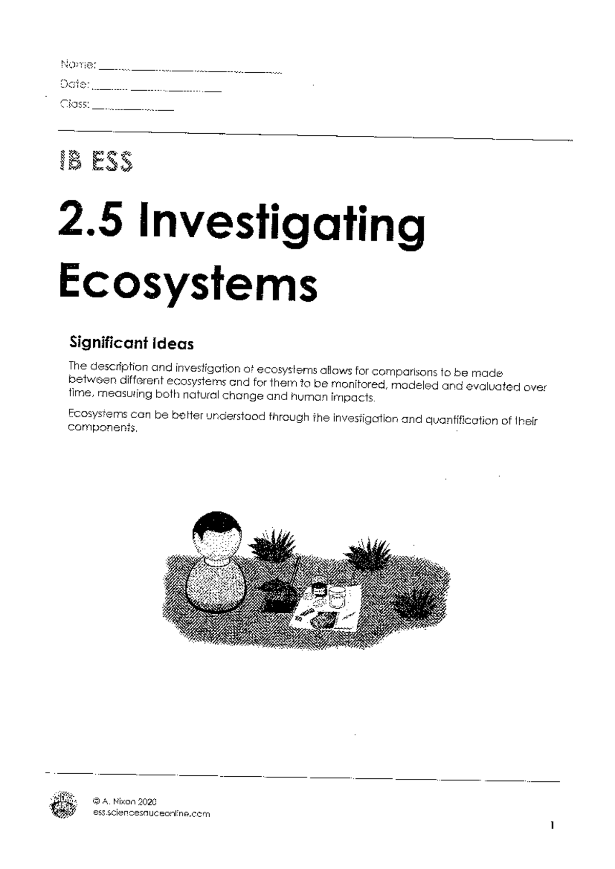 IB ESS 2.5 Final Exam: Investigating Ecosystems and Their Components ...