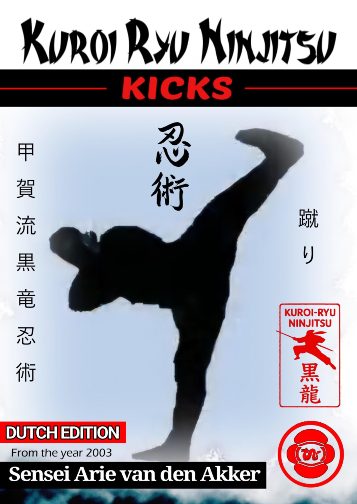 Kuroi Ryu Ninjitsu Kicks: Training Techniques & Tips for Mastery ...