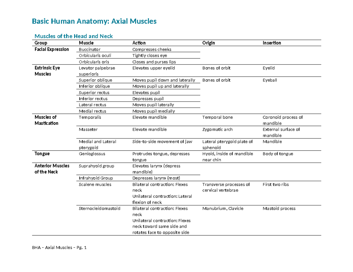 Basic Human Anatomy: Axial Muscles (BHA) - Head, Neck, and Trunk ...