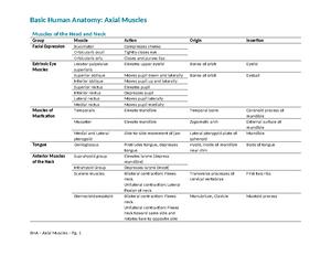Identifying Muscles of the Arm, Forearm, Hand, and Leg: Anatomy Notes ...