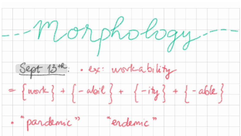 Morphology Notes (ENG 101): Morpheme Classification & Examples - Studocu