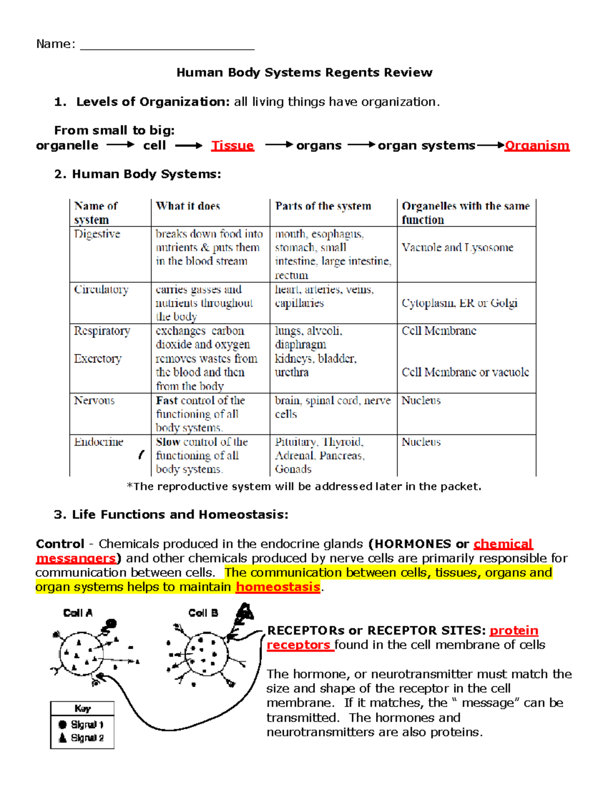 Human Body Systems Review: Structure, Function & Homeostasis (Regents ...