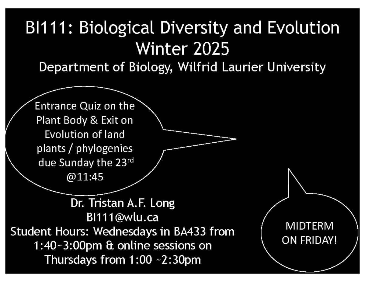 BI111 W25 Midterm Quiz on Evolution of Land Plants - Studocu