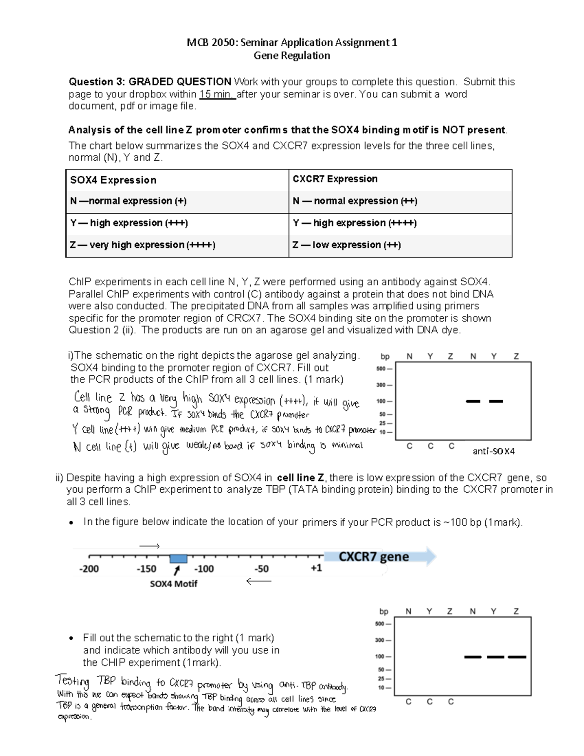 Gene regulation Seminar 1 - MCB 2050 : Seminar Application Assignment 1 ...