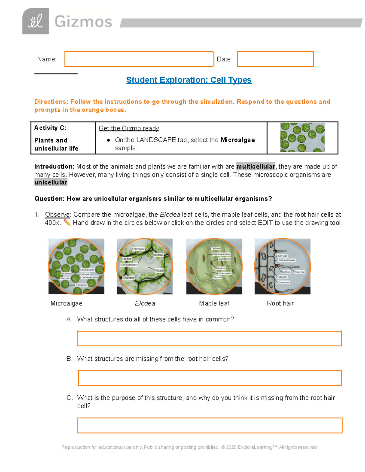 Copy of Gizmos - Cell Types C and D - Name: Date: Student Exploration ...