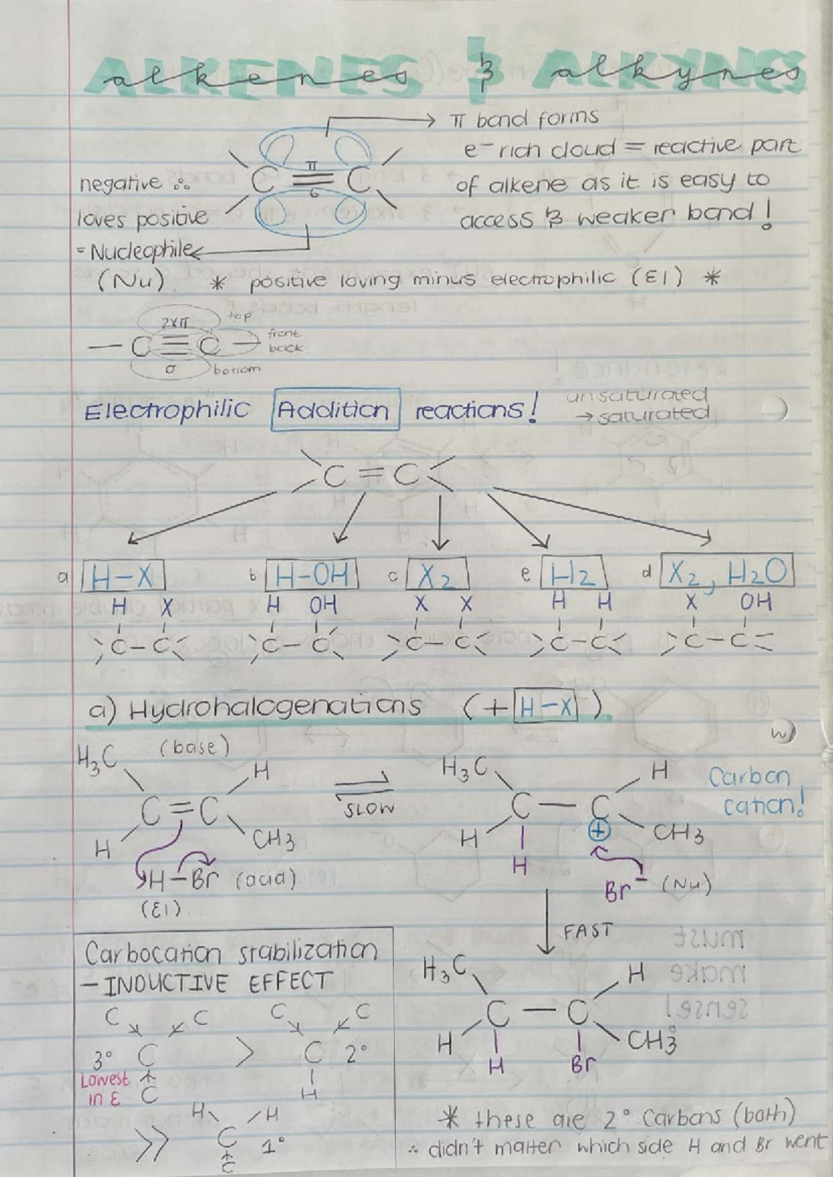 Alkenes and Alkynes Final Review - CHEM 101 - Studocu