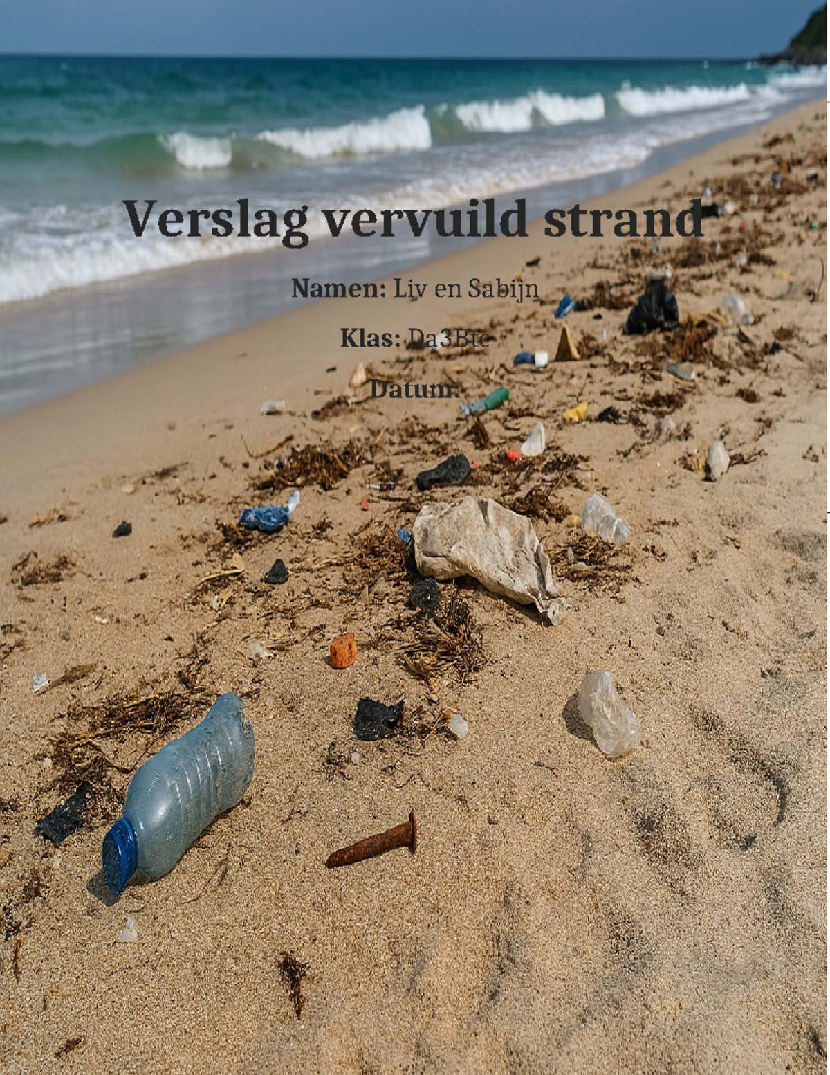 Werkplan voor Analyse van Vervuild Strandmonster - Da3Btc - Studeersnel