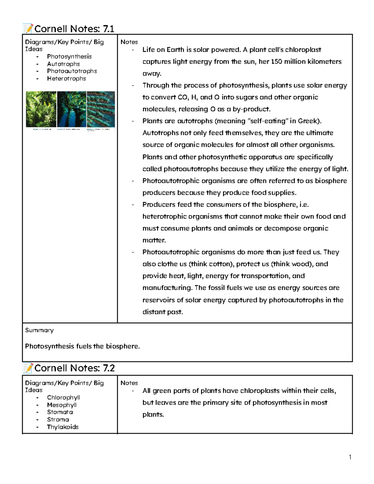 Unit 7 Bio Honors: Photosynthesis & Its Impact on Life - Studocu