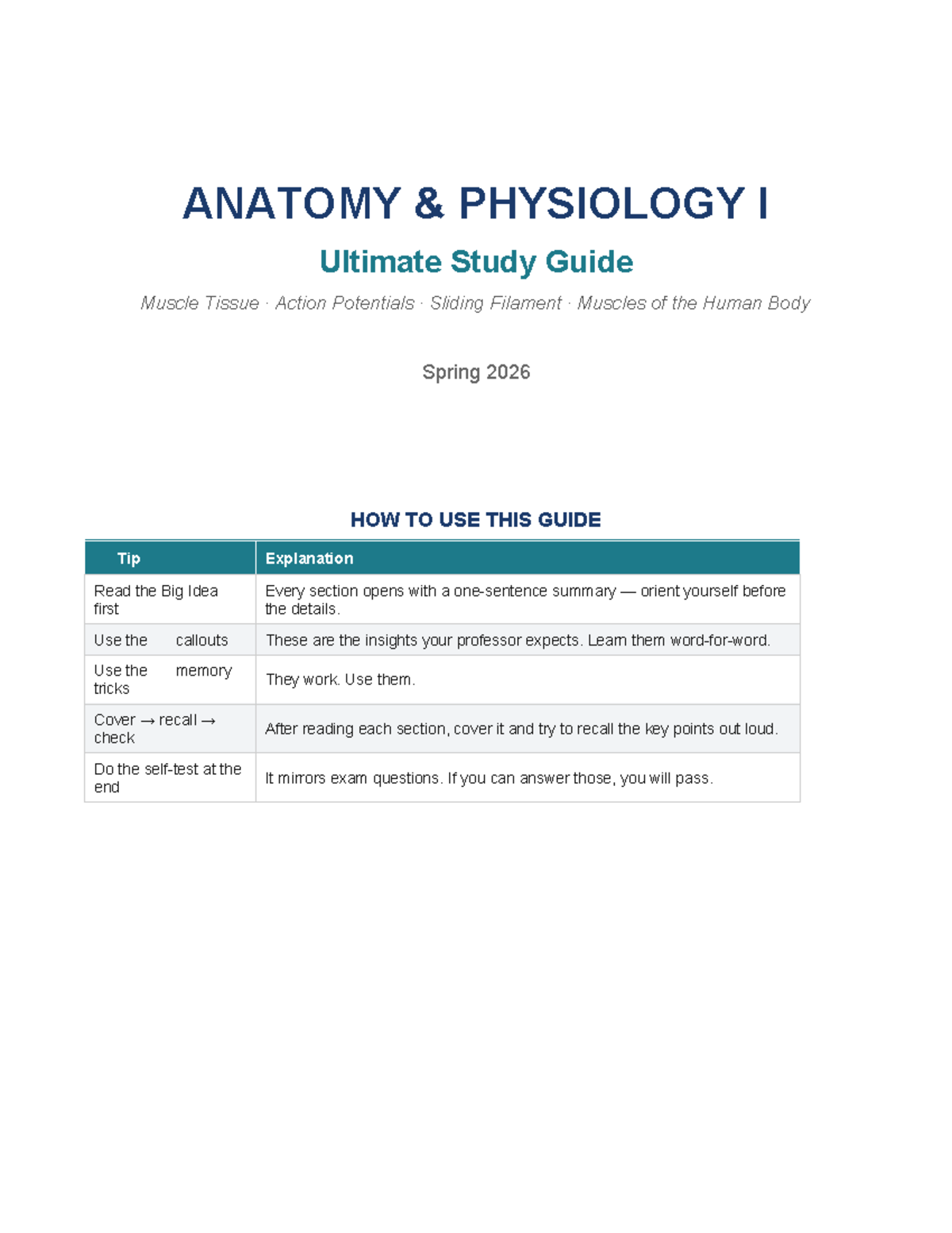 ANATOMY PHYSIOLOGY I Muscle Study Guide: Muscle Tissue & Action ...
