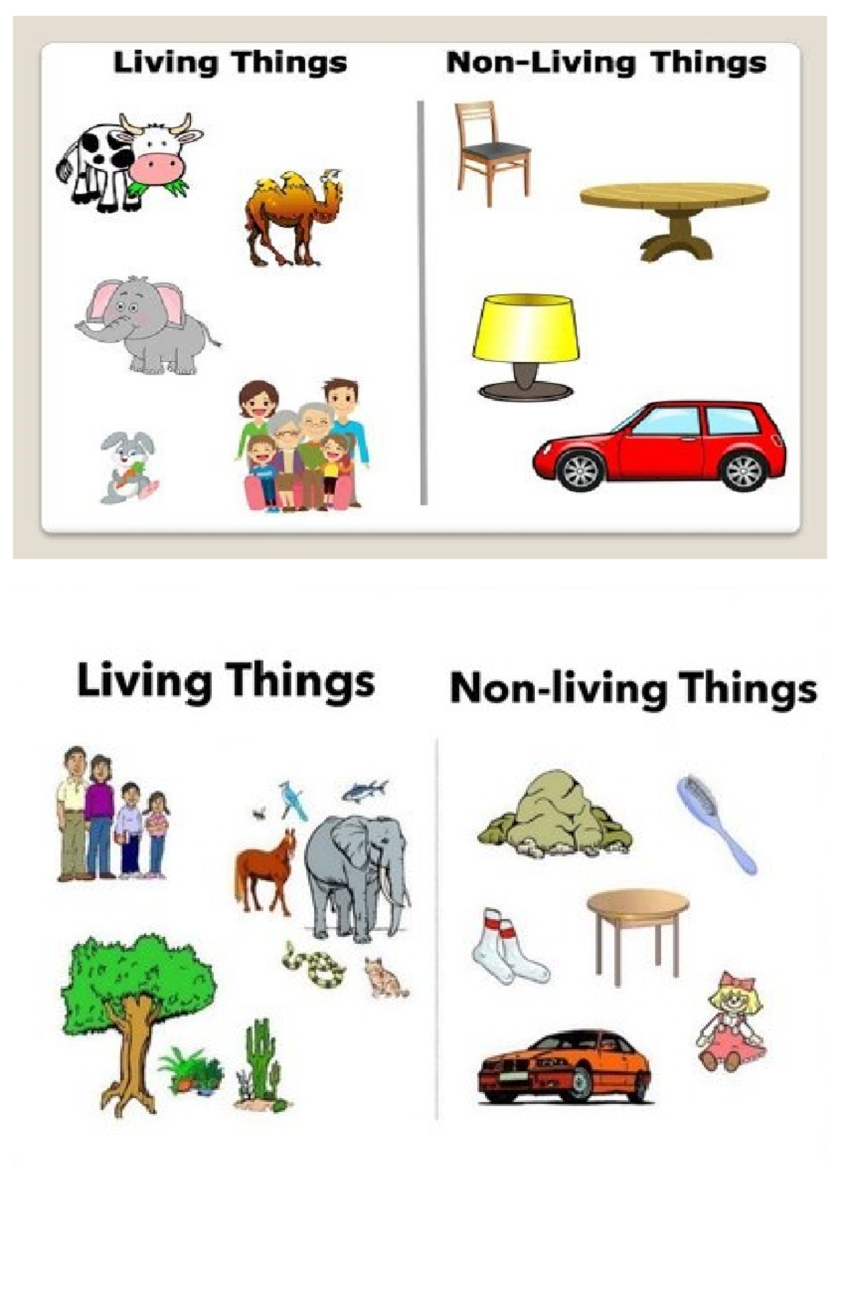 Living and non-living - defe - Field Study - Living Things Non-Living ...