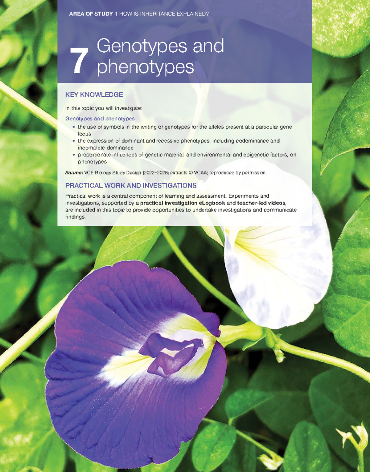 Genotypes And Phenotypes - AREA OF STUDY 1 HOW IS INHERITANCE EXPLAINED ...