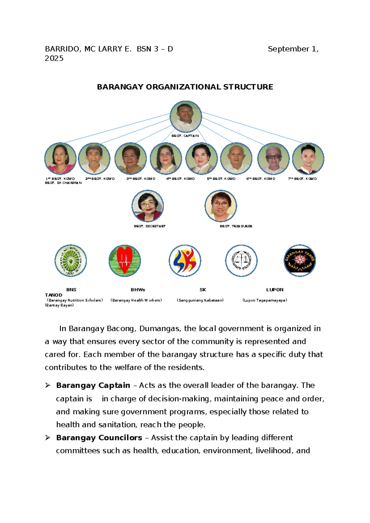 BSN 3 D 2025: Barangay Organizational Structure & Health Programs ...