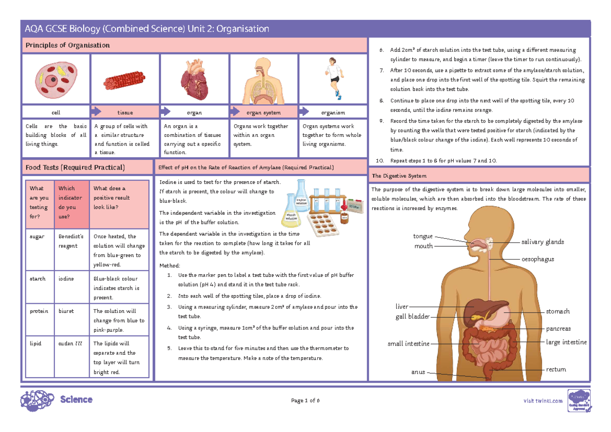 AQA Biology Knowledge Organiser: Organisation and Enzymes - Studocu