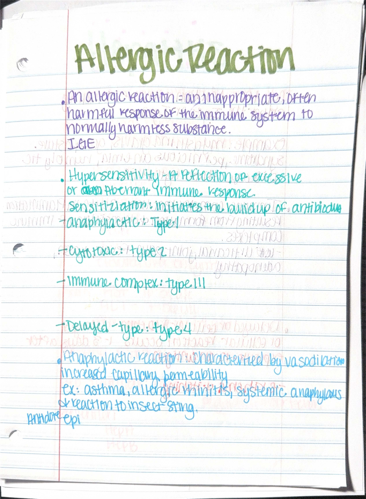 Allergic Reactions: Understanding Immune Responses and Anaphylaxis ...