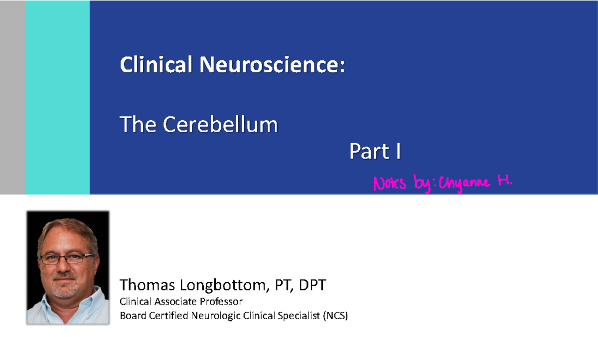 Clinical Neuroscience: The Cerebellum - Part I & II Notes - Thomas ...
