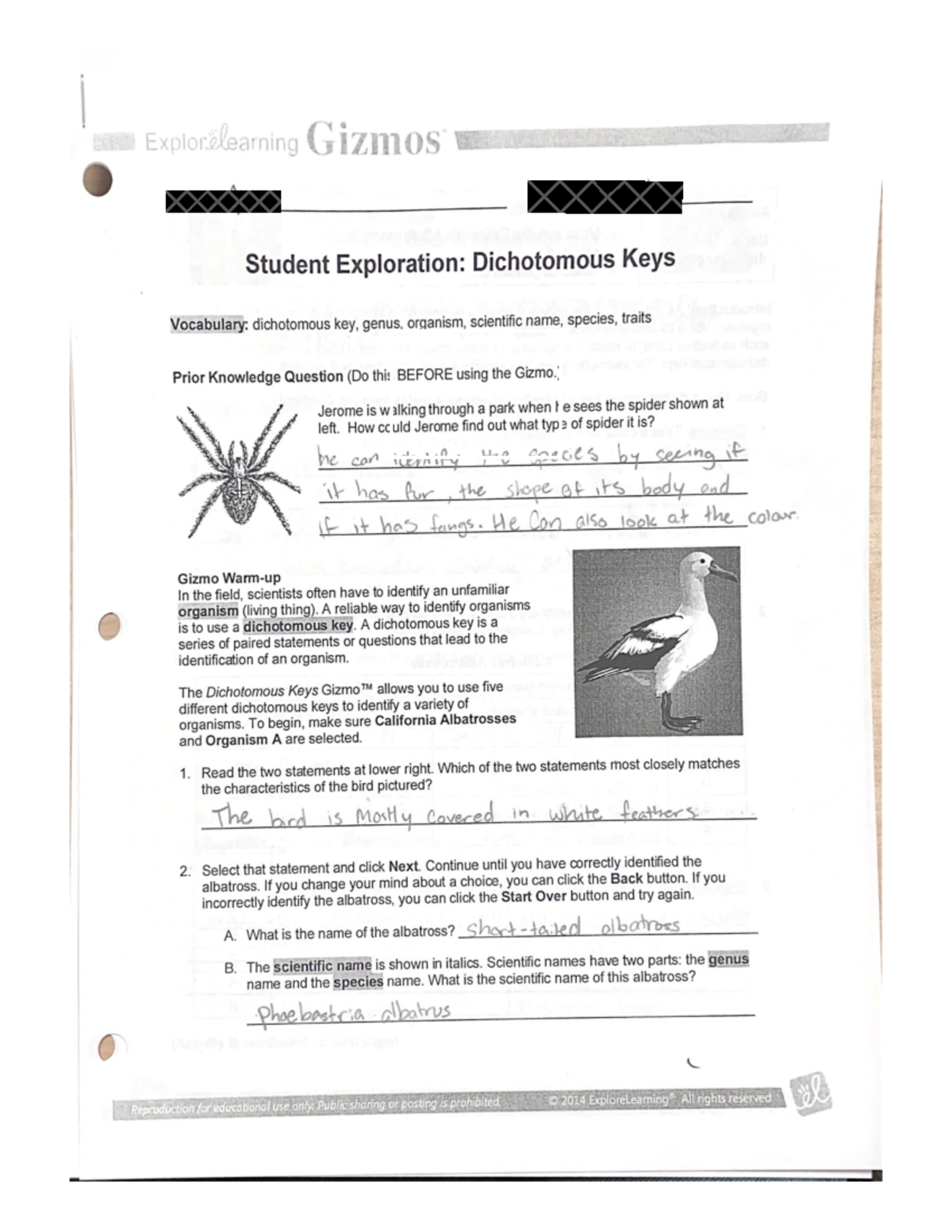 Gizmo Worksheets for Science Class Activities and Experiments - Studocu