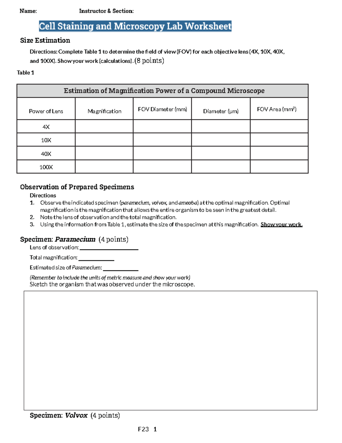 F23 Cell Staining and Microscopy Worksheet - Size Estimation Directions ...