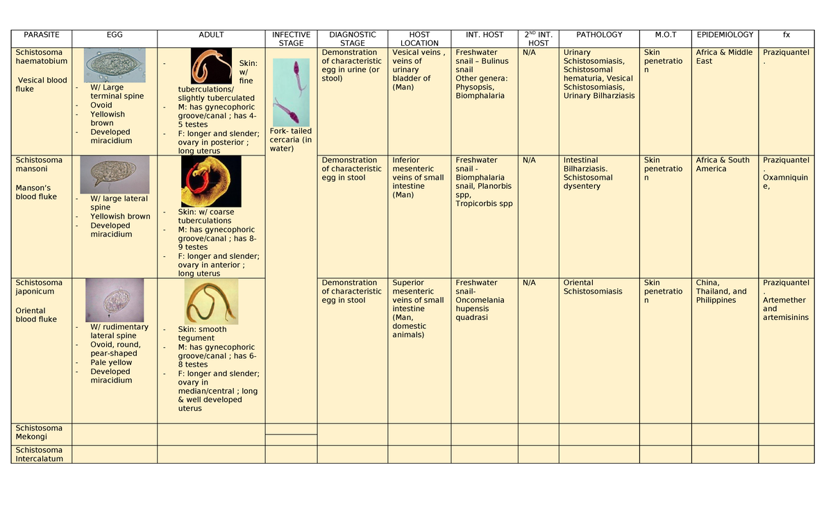 Trematodes Parasite - trematode summary - PARASITE EGG ADULT INFECTIVE ...