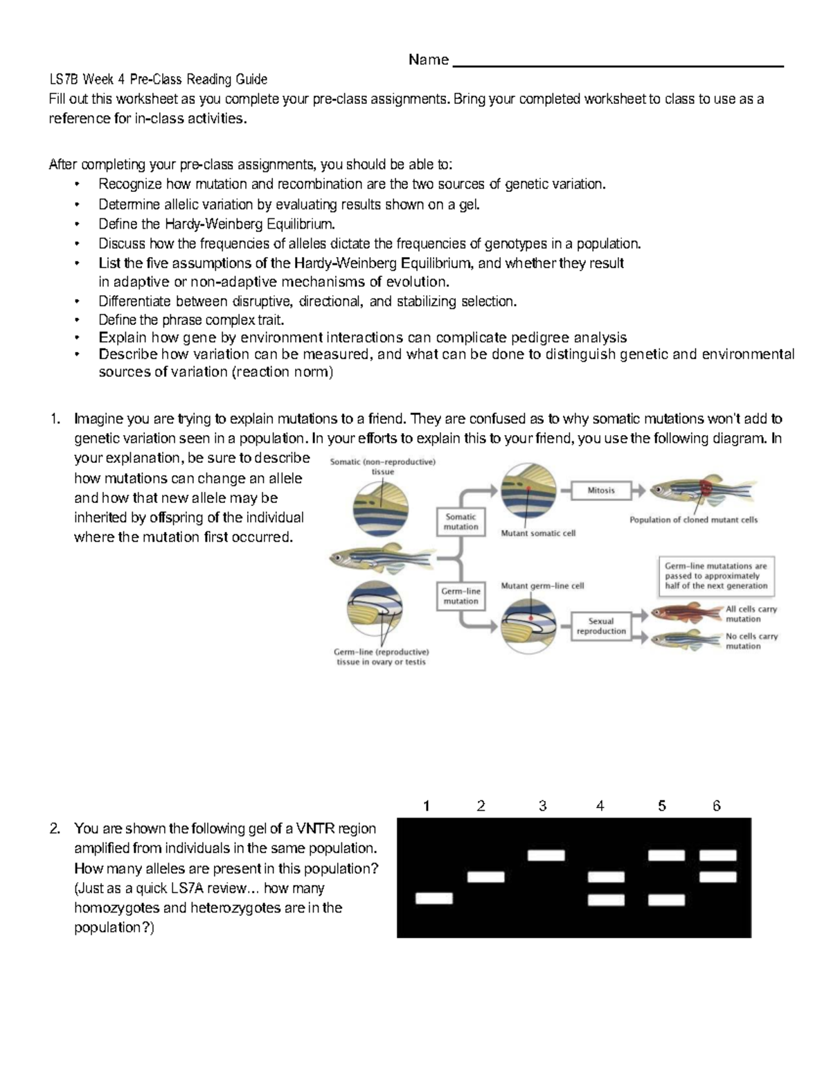 LS7B Week 4 Pre-Class Reading Guide on Genetic Variation and Selection ...