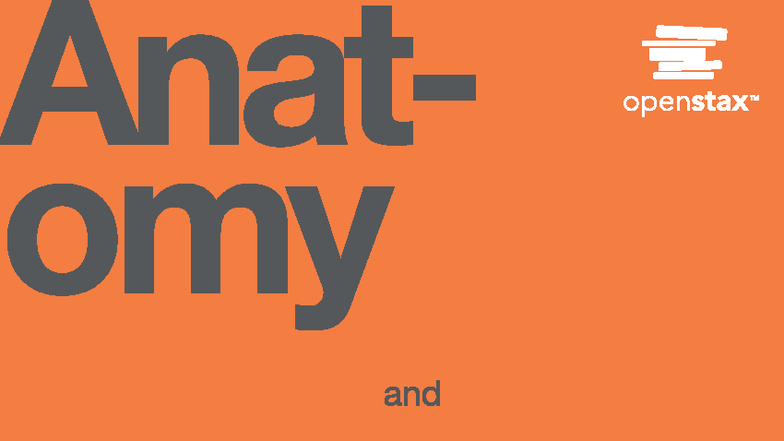 Anatomy and Physiology - Chapter 12: The Nervous System Overview ...